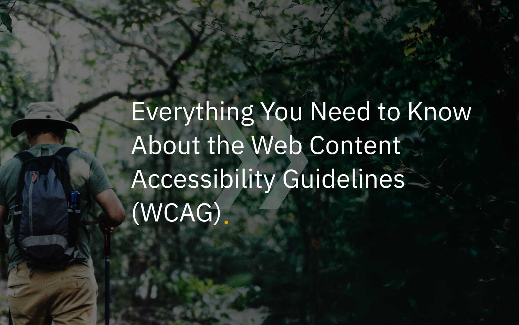 All about Web Content Accessibility Guidelines (WCAG)