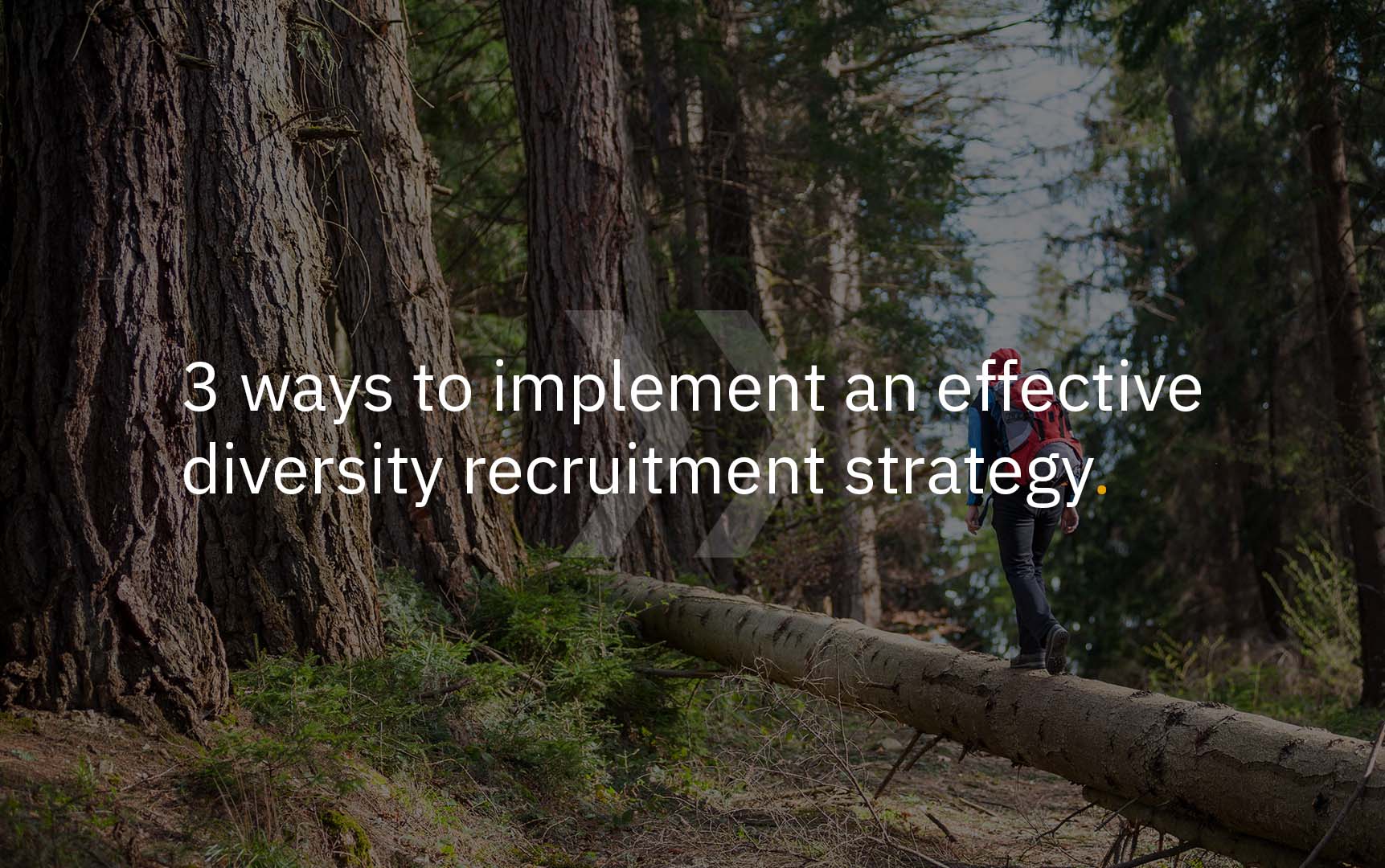 How to implement an effective diversity recruitment strategy