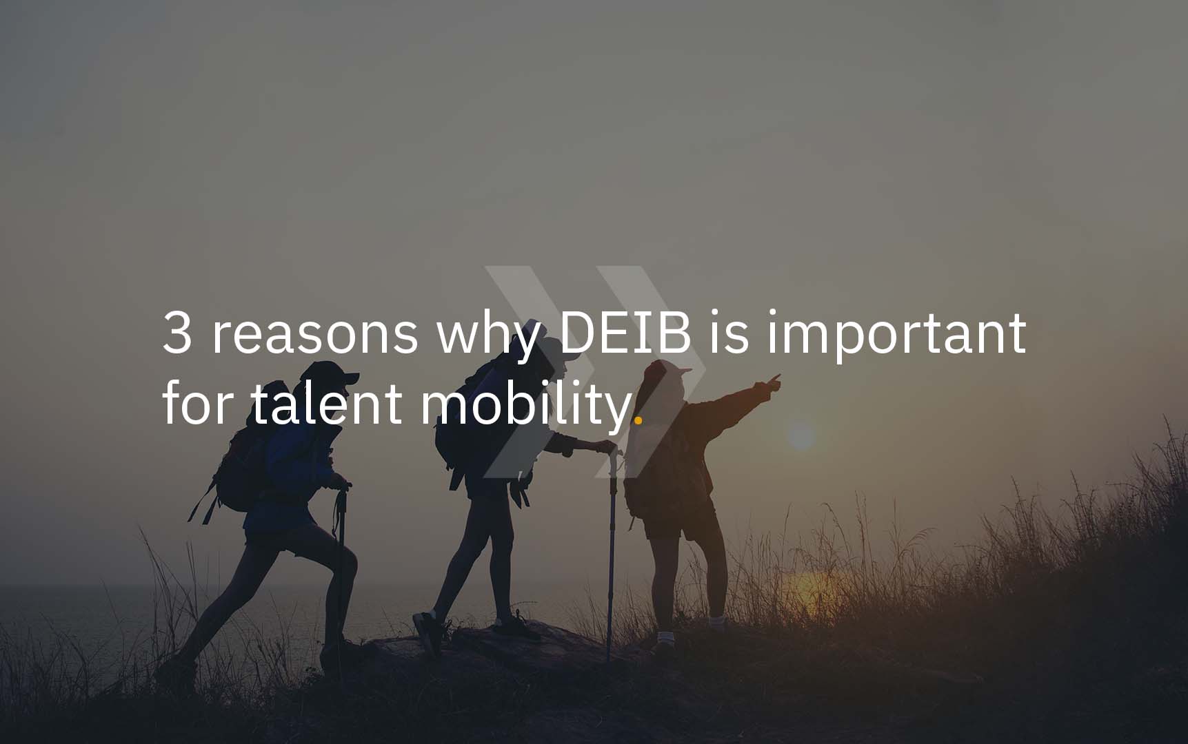 3 reasons why DEIB is important for talent mobility | Textmetrics